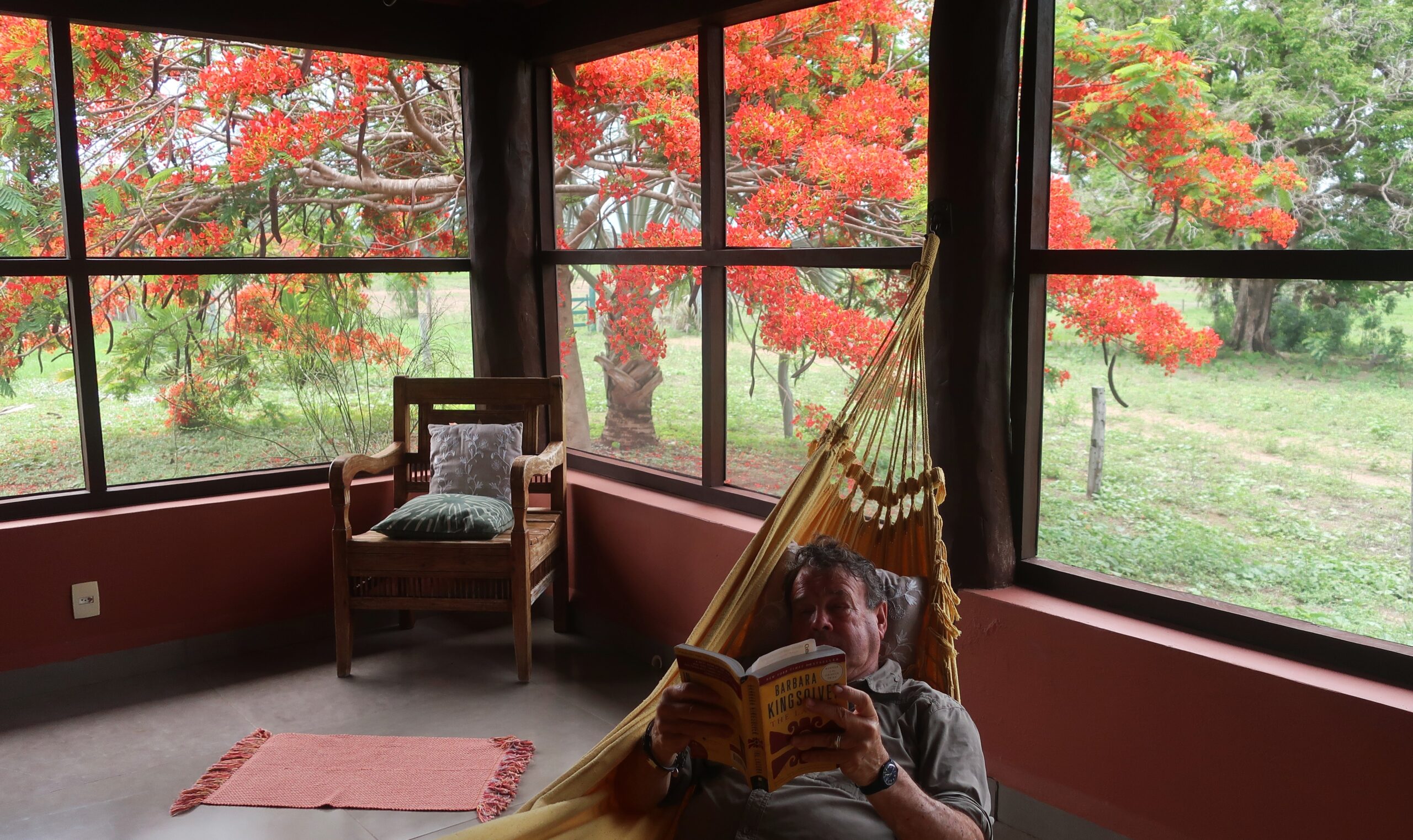 The Pantanal, Part 2 - Random Rambles